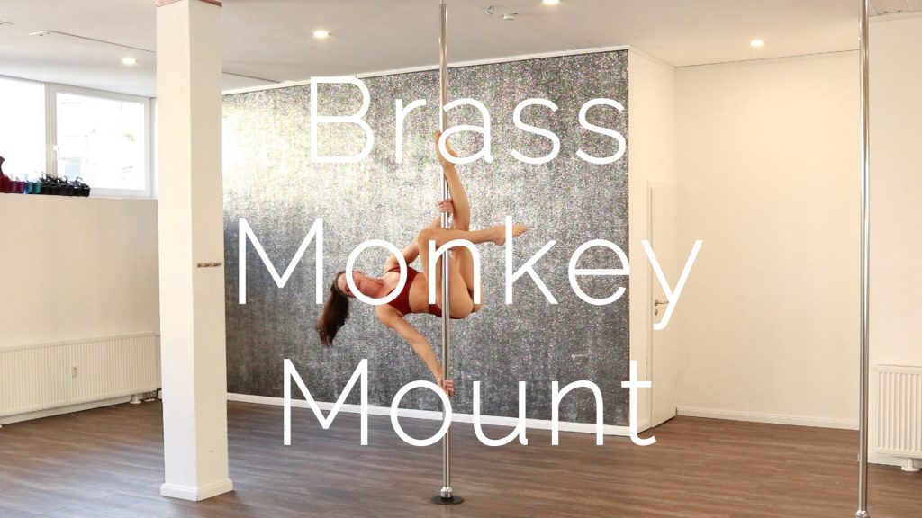 Brass Monkey Mount – Polearize Online