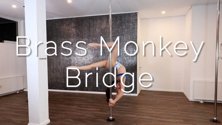 Brass Monkey Bridge – Polearize Online